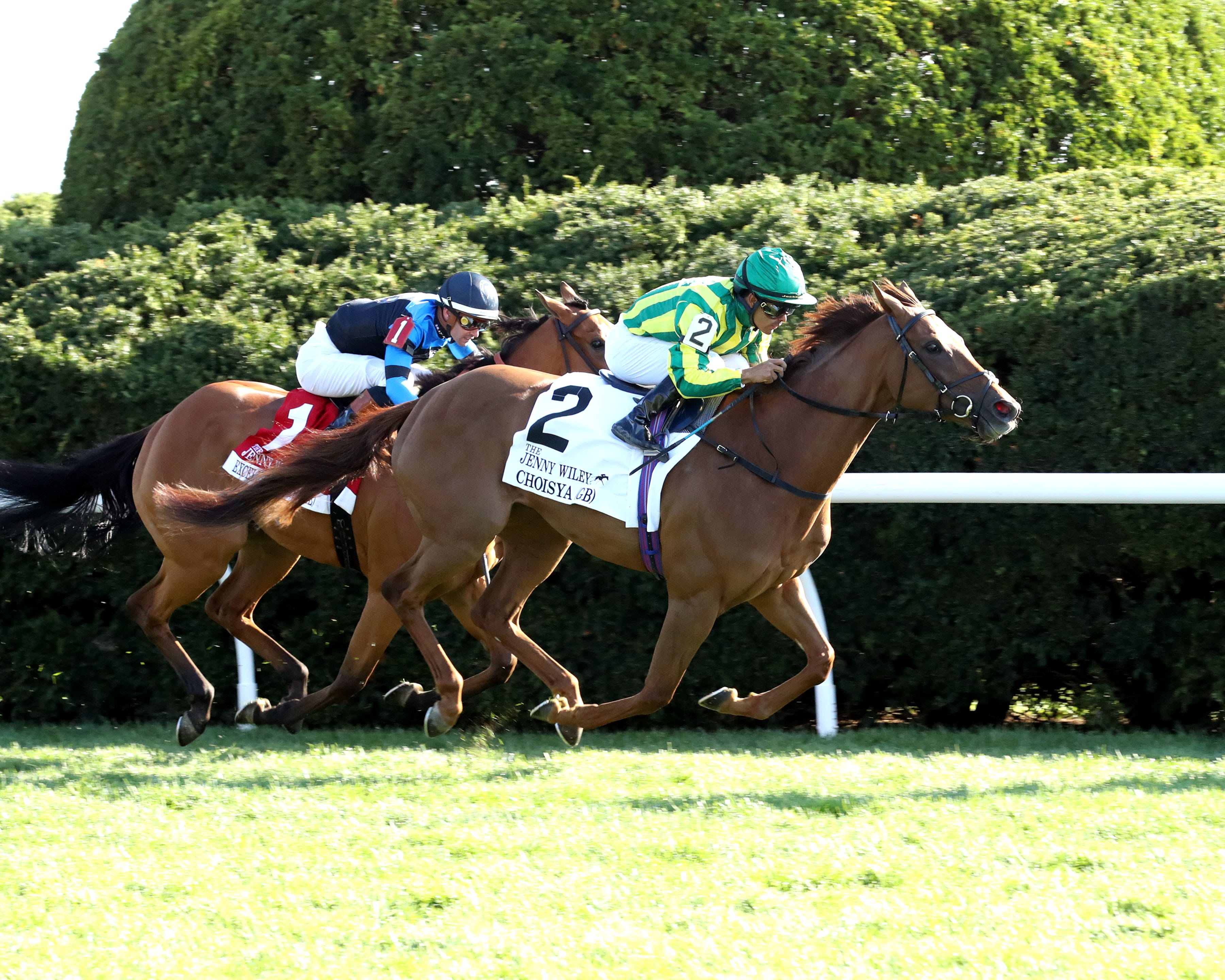 Brown surprised by no inquiry on Choisya's victory over Excellent Truth in Jenny Wiley